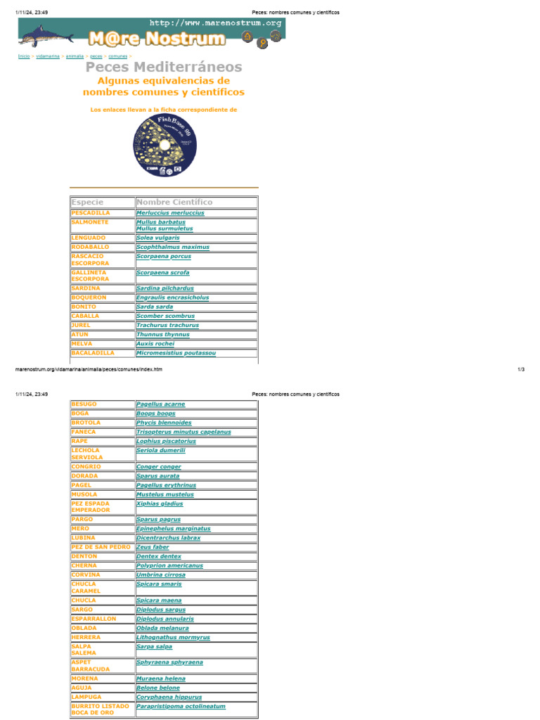 Nombres de Peces Comunes en Español | PDF | Peces y humanos | Pescado