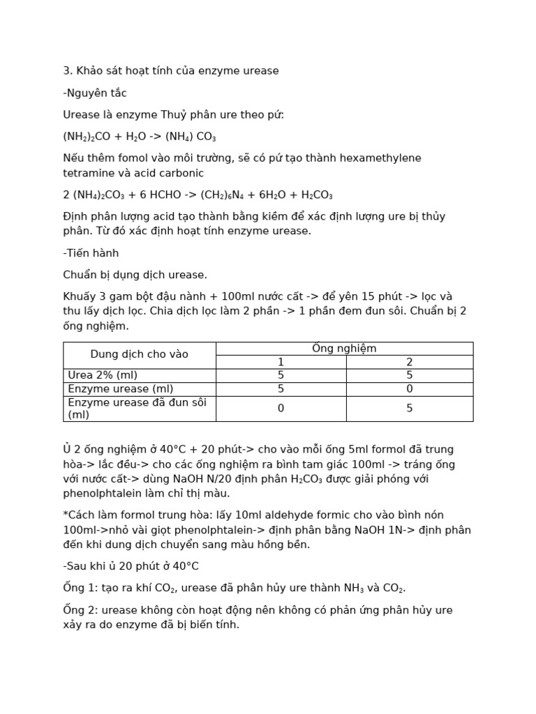 KH o Sát Ho T Tính C A Enzyme Urease | PDF