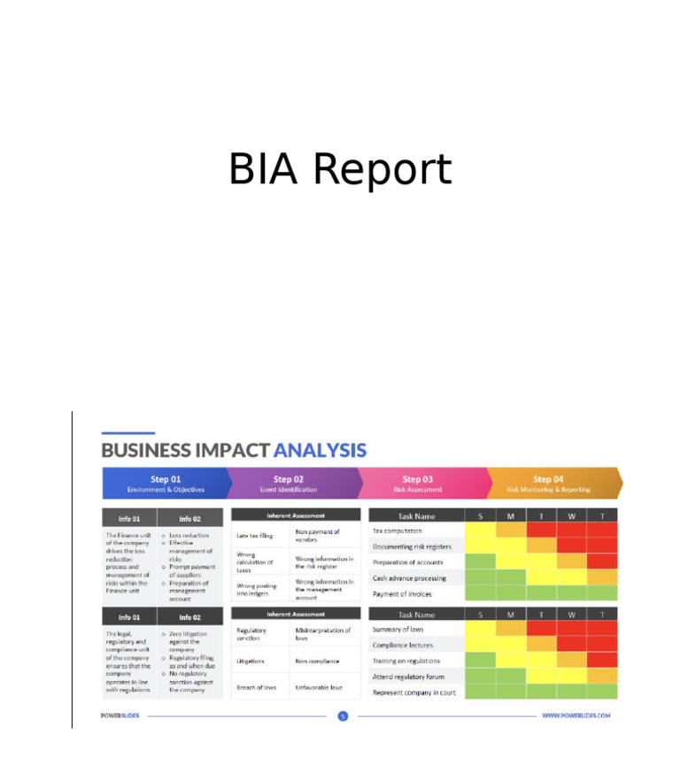 BIA Report | PDF
