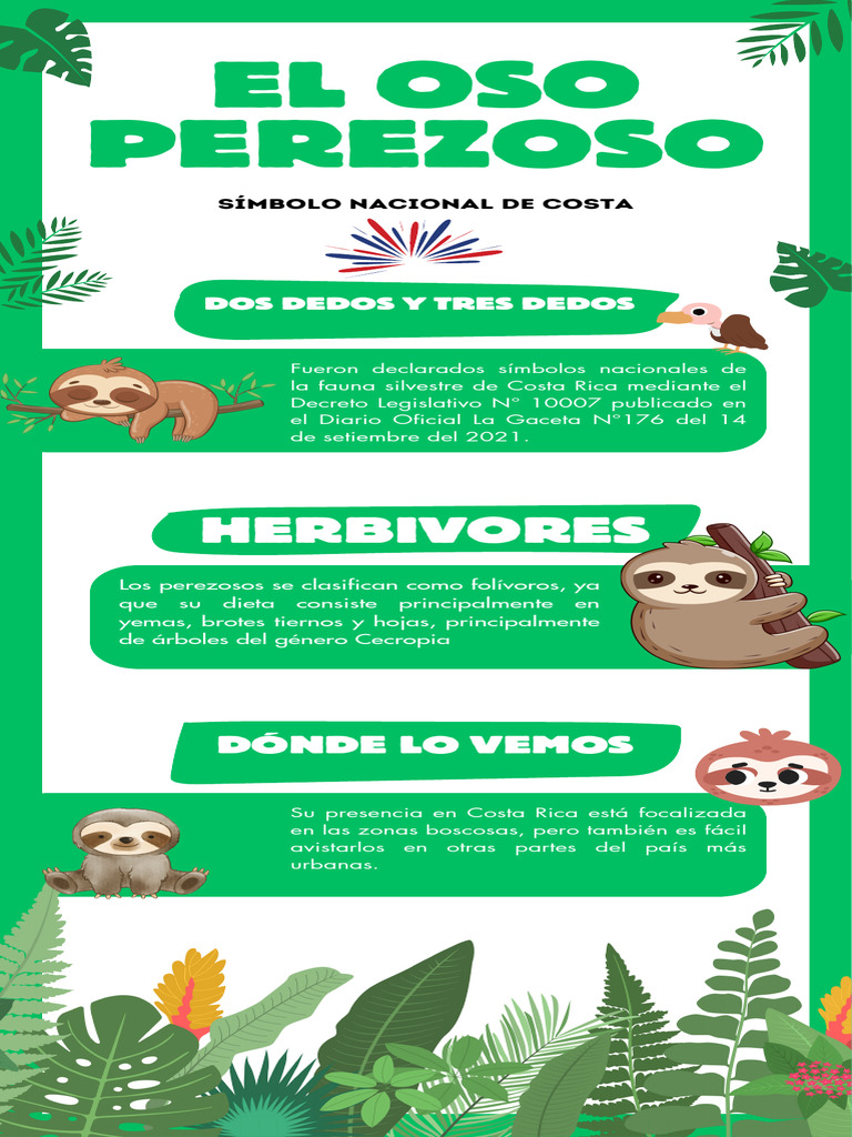 Oso Perezoso: Símbolo Nacional de Costa Rica | PDF | Hogar, jardinería ...