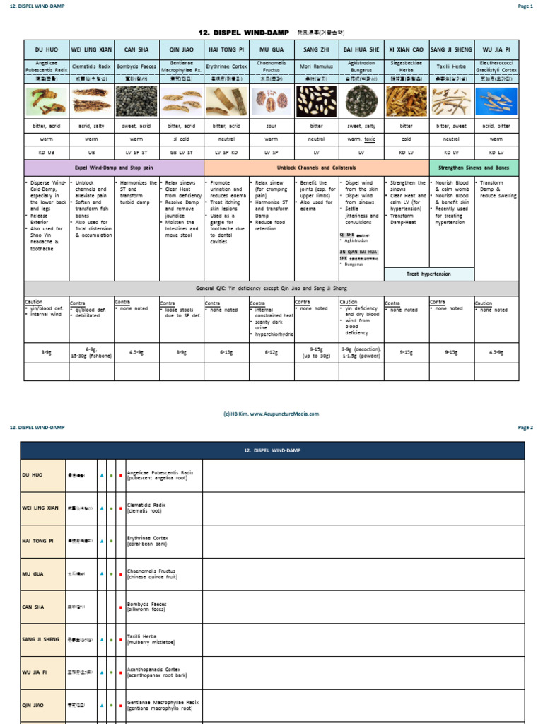Dispel Wind Damp HB 2 | PDF | Atrophy | Pain