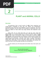 Comparing Plant and Animal Cells | PDF | Cell (Biology) | Onion