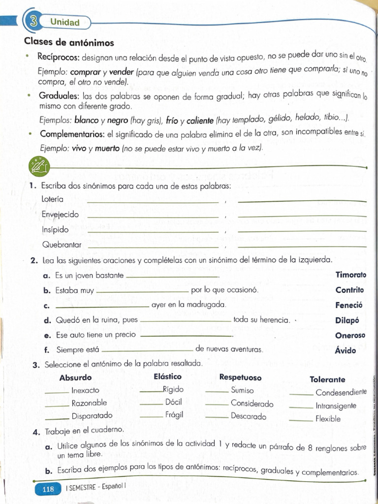 Español - Clase de Antónimos | PDF