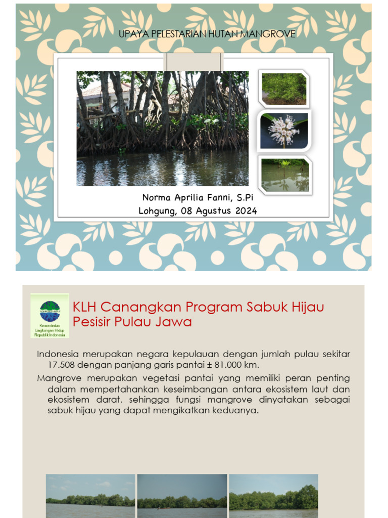 Upaya Pelestarian Hutan Mangrove | PDF
