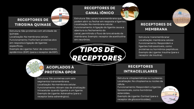 Tipos de Receptores Celulares e Funcionamento | PDF | Receptor ...