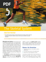 The Skeletal System - Skeleton - Living Organisms - KS3 Biology - BBC ...