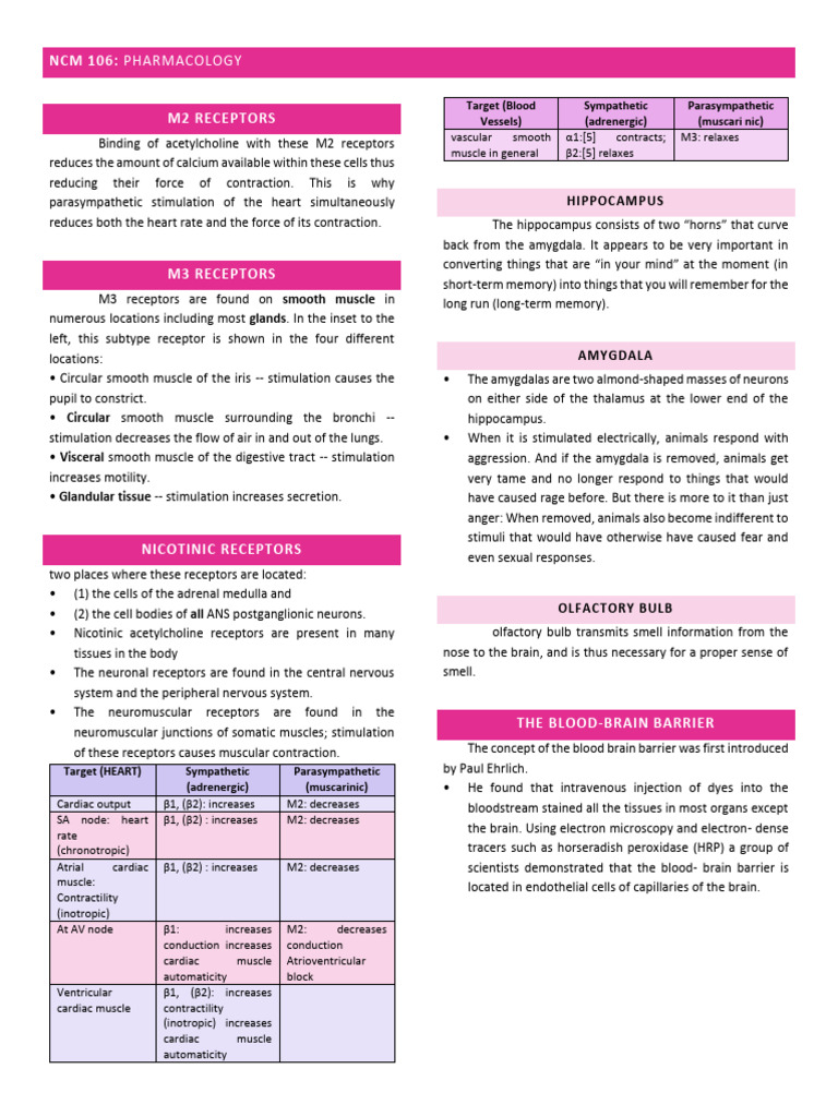 BRAIN AND ANTI PSYCHOTIC M2 Receptors | PDF | Capillary | Physiology