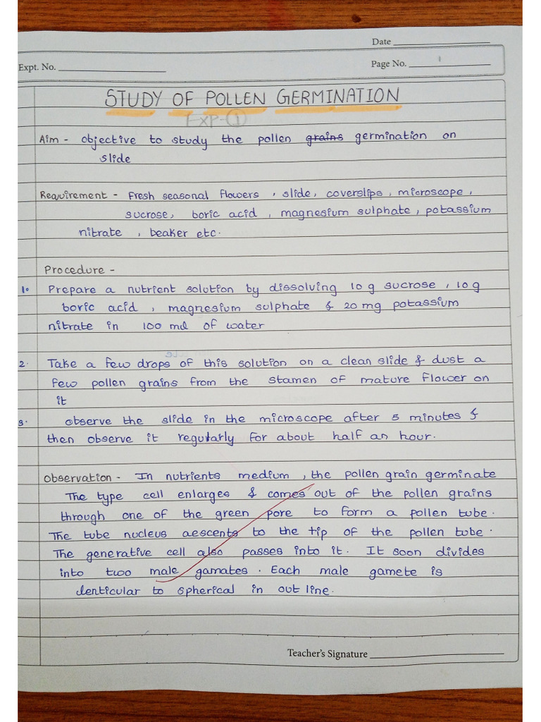 Class 12 Bio Practical 2024-25 | PDF