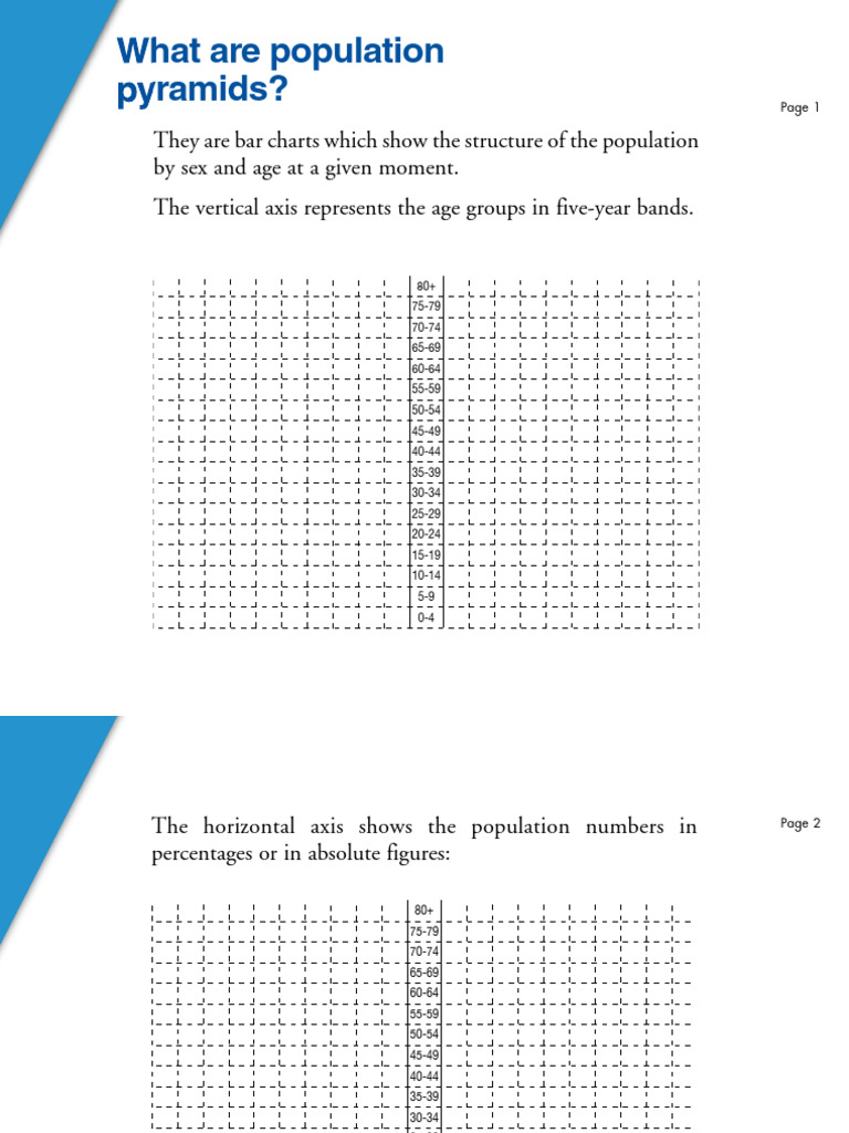 Population Pyramid Defined | PDF | Shape