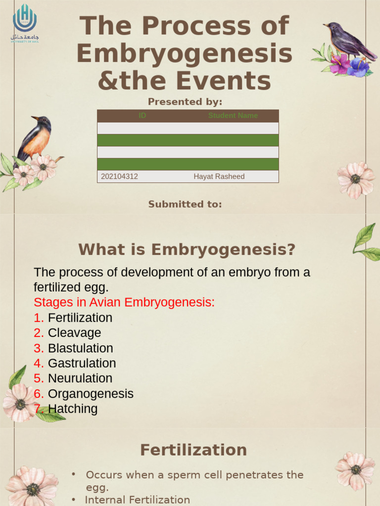 The Process of Embryogenesis &the Events | PDF | Embryo | Anatomy