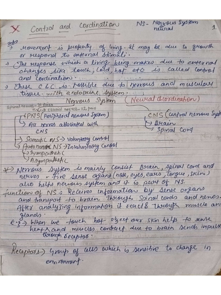 Class X Control and Cordination | PDF