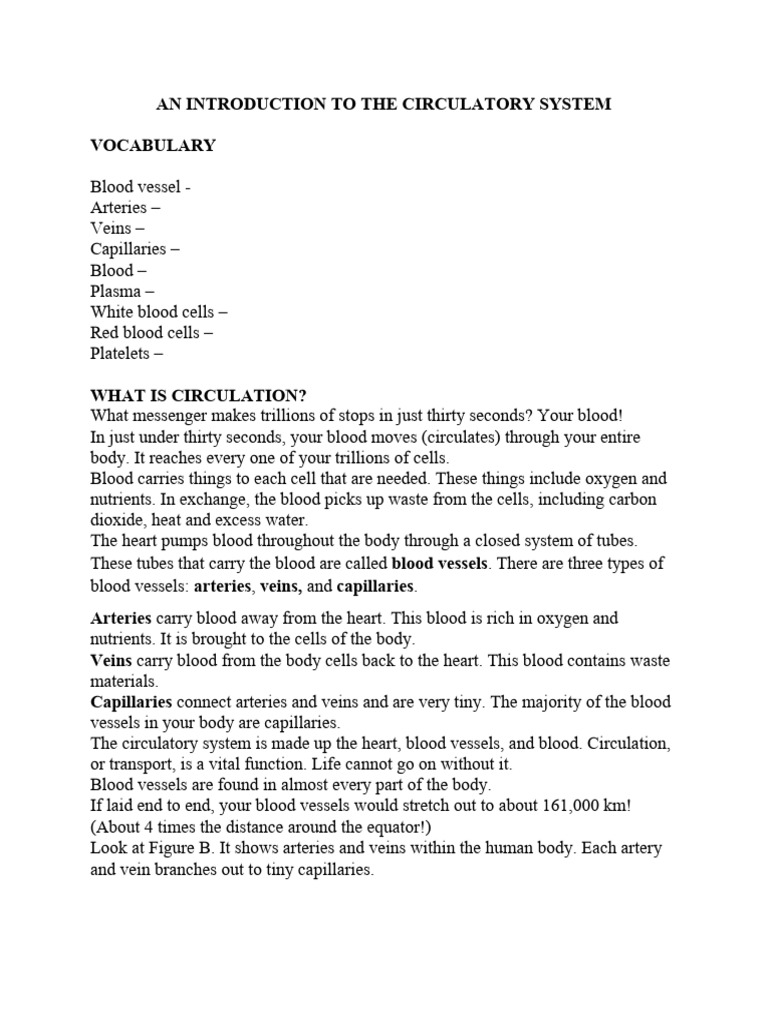 Blood and Circulation Student Handout | PDF
