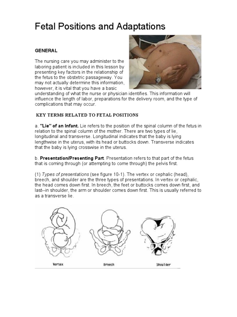 Fetal Positions for Nurses | PDF | Pelvis | Childbirth