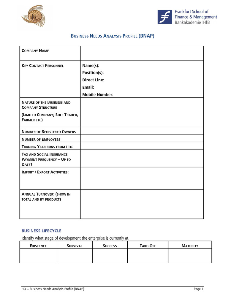 10_HO Business Needs Analysis Profile (BNAP) | PDF | Banks ...