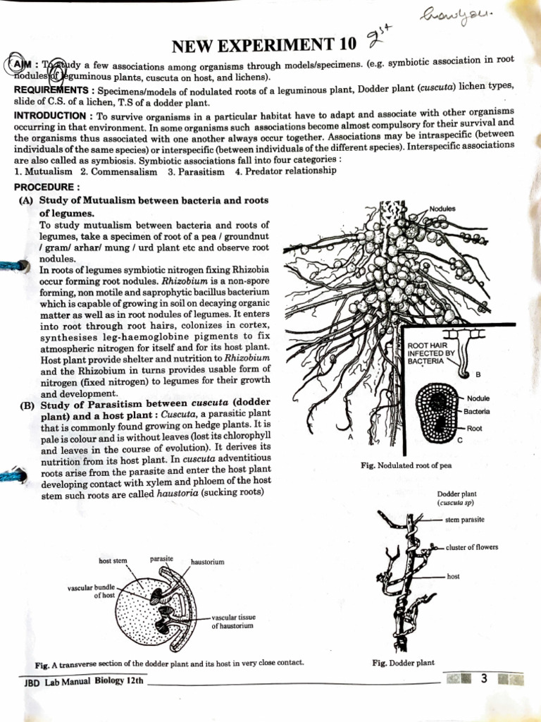 exp no 12 | PDF | Biology | Branches Of Botany