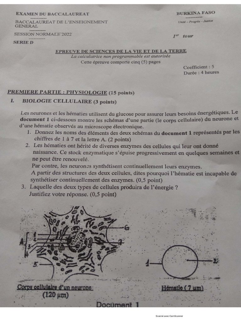 SVT Bac D | PDF