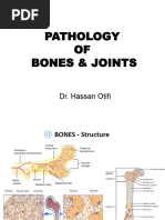 Bone Pathology Lecture Outline | PDF | Bone | Osteoporosis