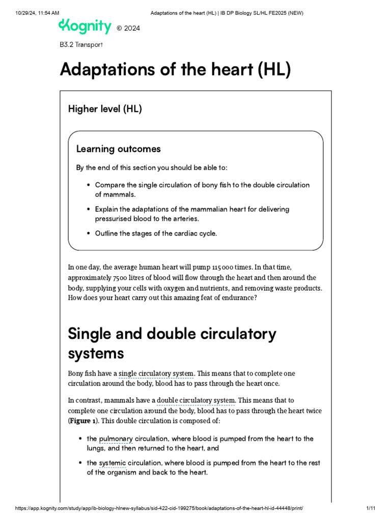 Adaptations of The Heart (HL) - IB DP Biology SL - HL FE2025 (NEW ...