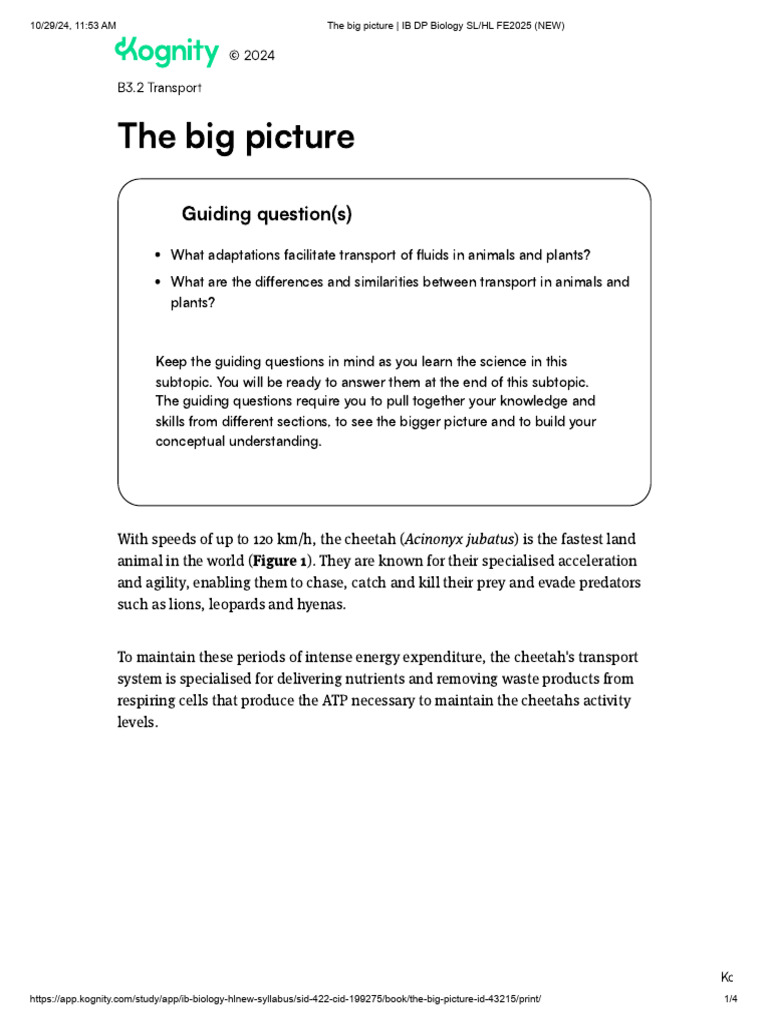 Transport Systems in Animals and Plants | PDF | Wellness | Science ...