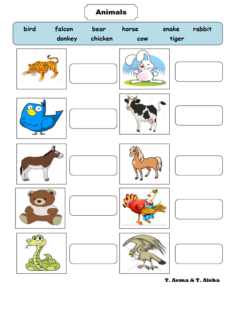 Animals - Worksheet | PDF