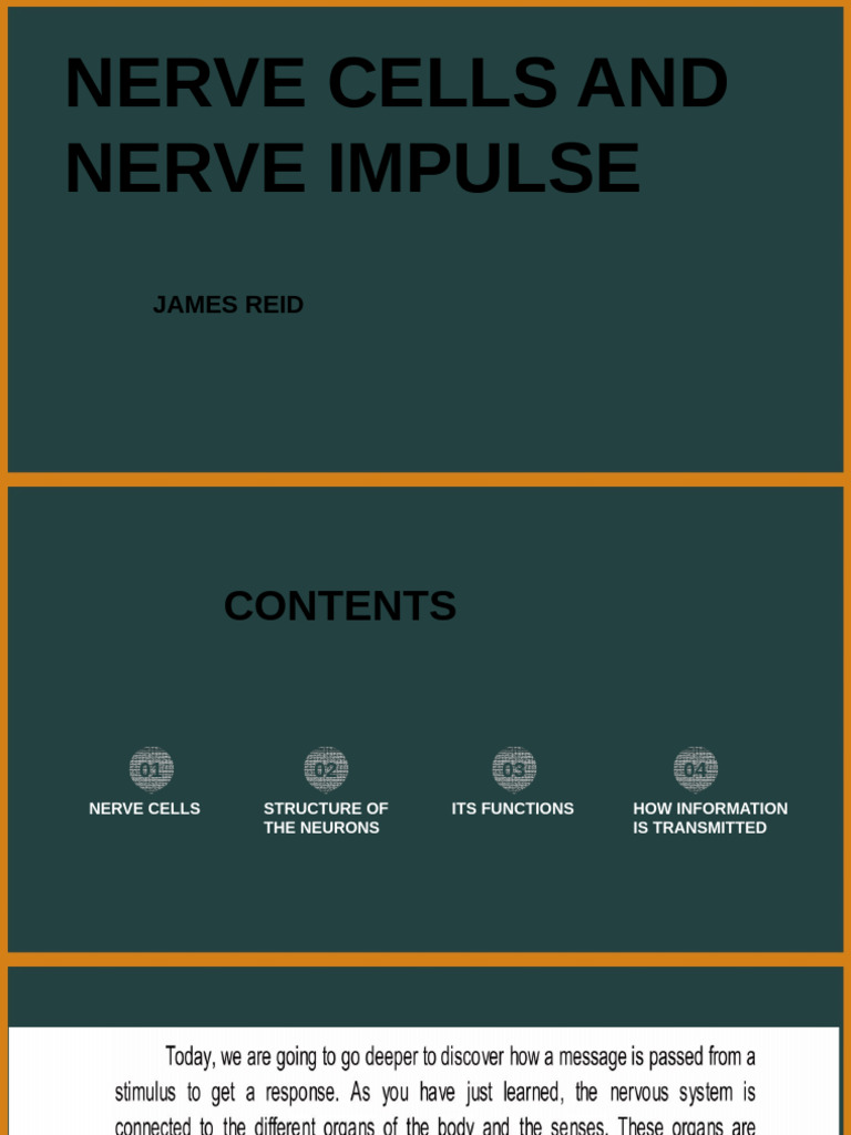 Nerve Cell and Nerve Impulse | PDF