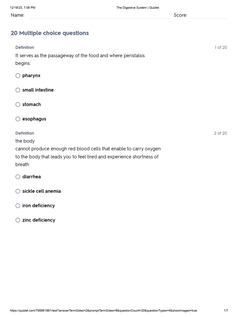 The Digestive System - Quizlet | PDF | Digestion | Human Digestive System
