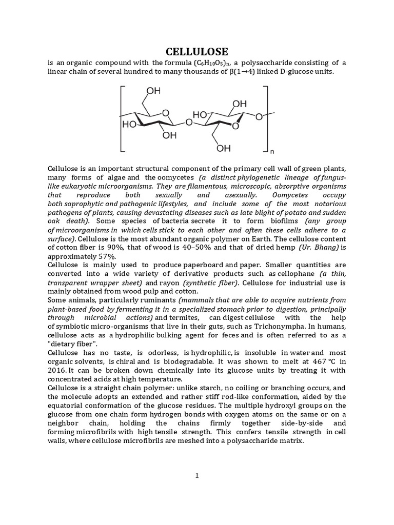 Plant Cell Wall Components | PDF | Cellulose