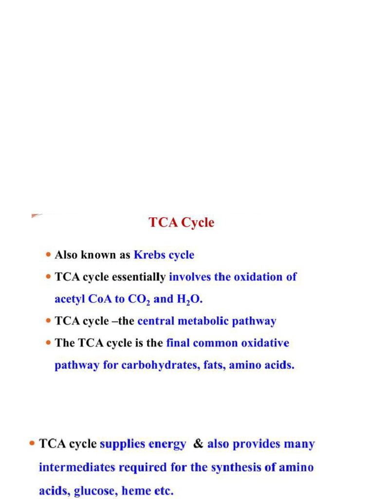 (Metabolism) Significance of TCA Cycle | PDF