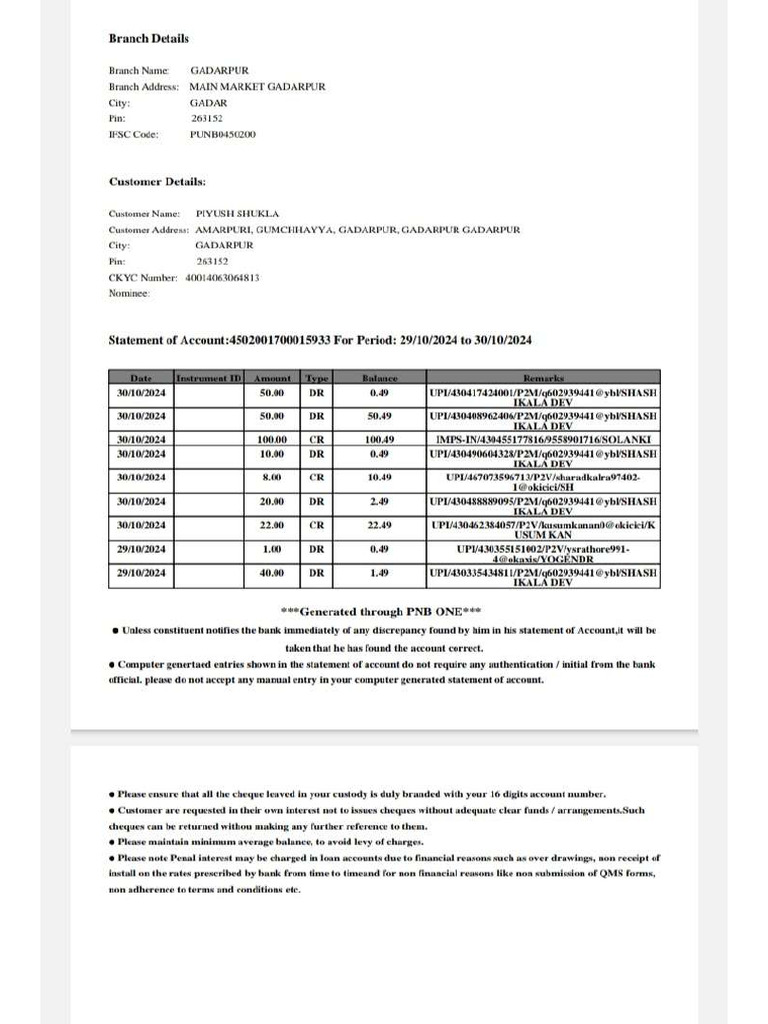 PNB One Account Statement 450XXXXX | PDF