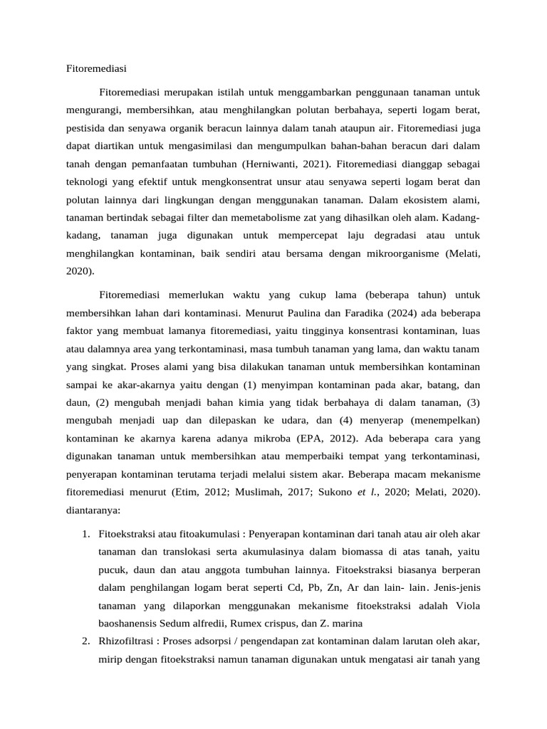 Fito&Miko Remediasi | PDF
