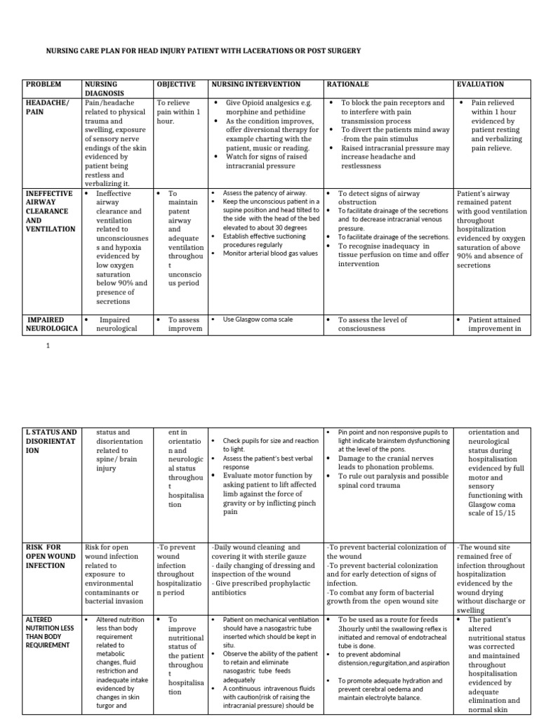 Nursing Care Plan For Head Injury | PDF | Wound | Pain