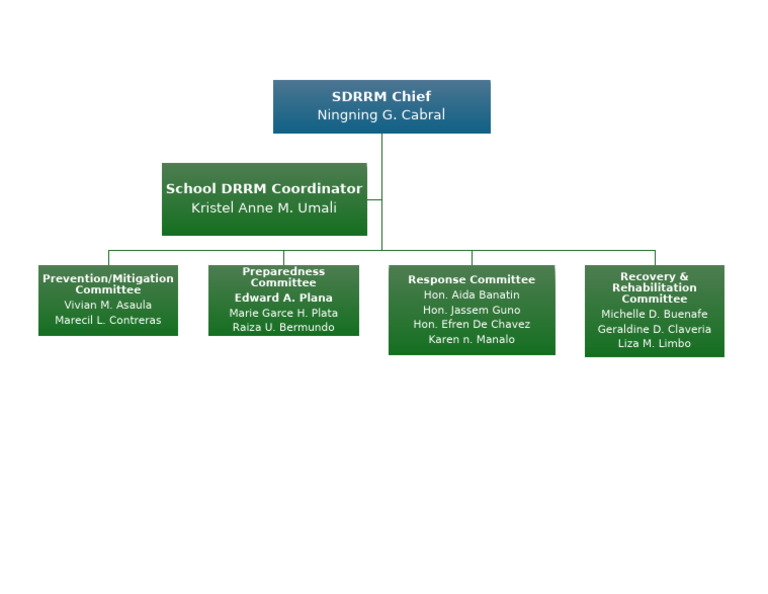 SDRRM FLOW CHART | PDF