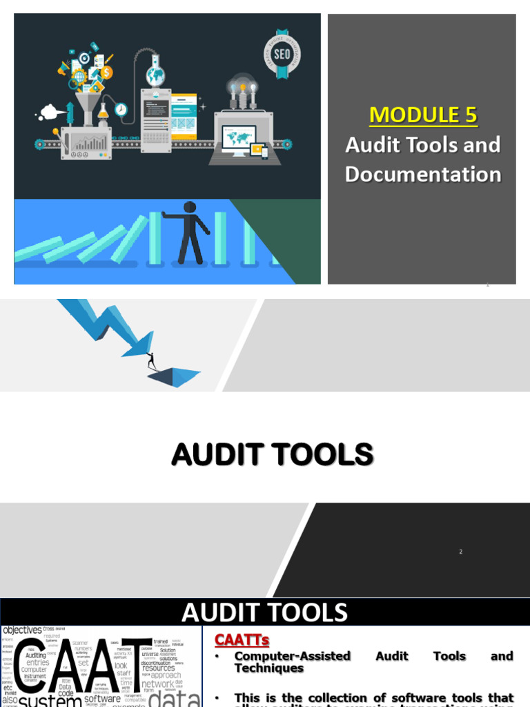 Essential Audit Tools and Techniques | PDF | Audit | Histogram