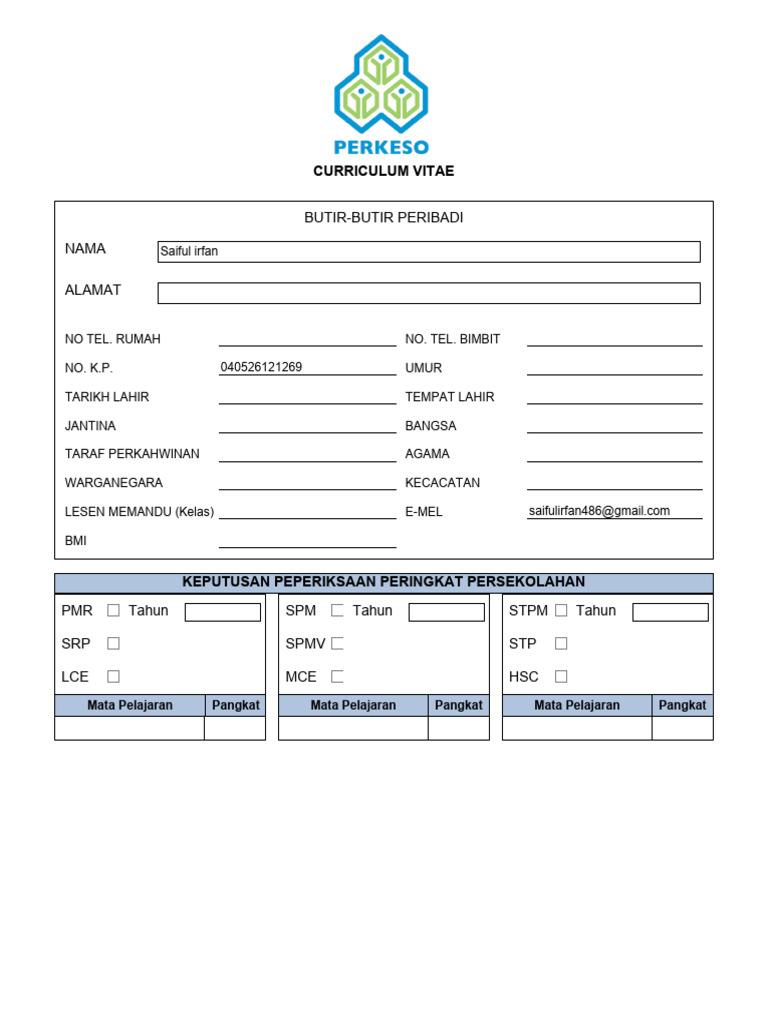 BORANG CV Saifuliirfan | PDF