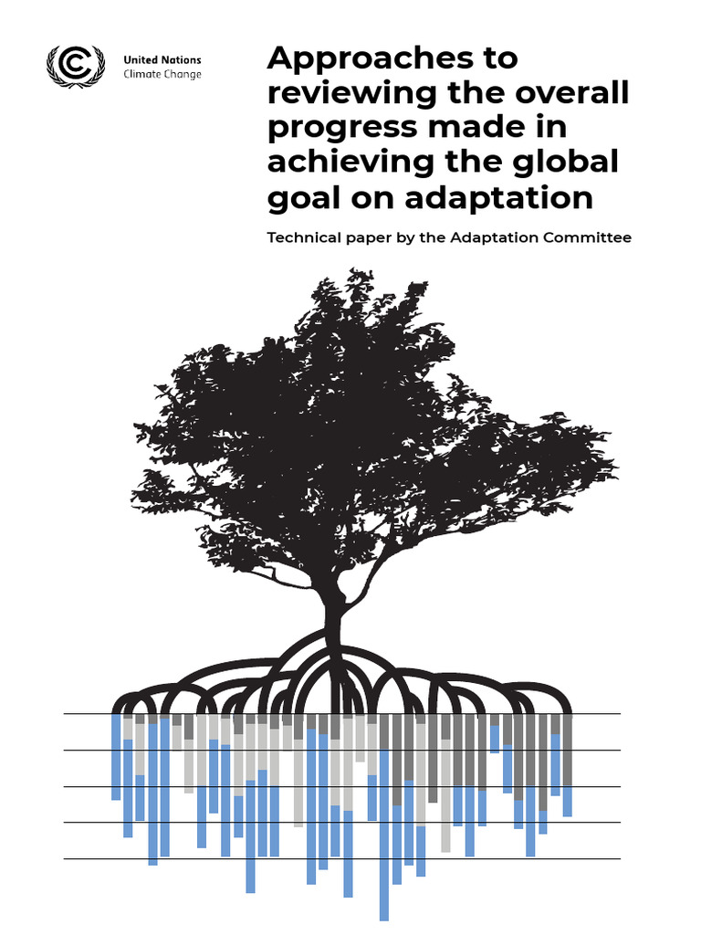 UNFCCC Approaches To Reviewing The Overall Progress Made in Achieving ...