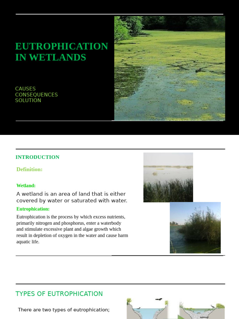Eutrophication in Wetland | PDF | Eutrophication | Water Pollution