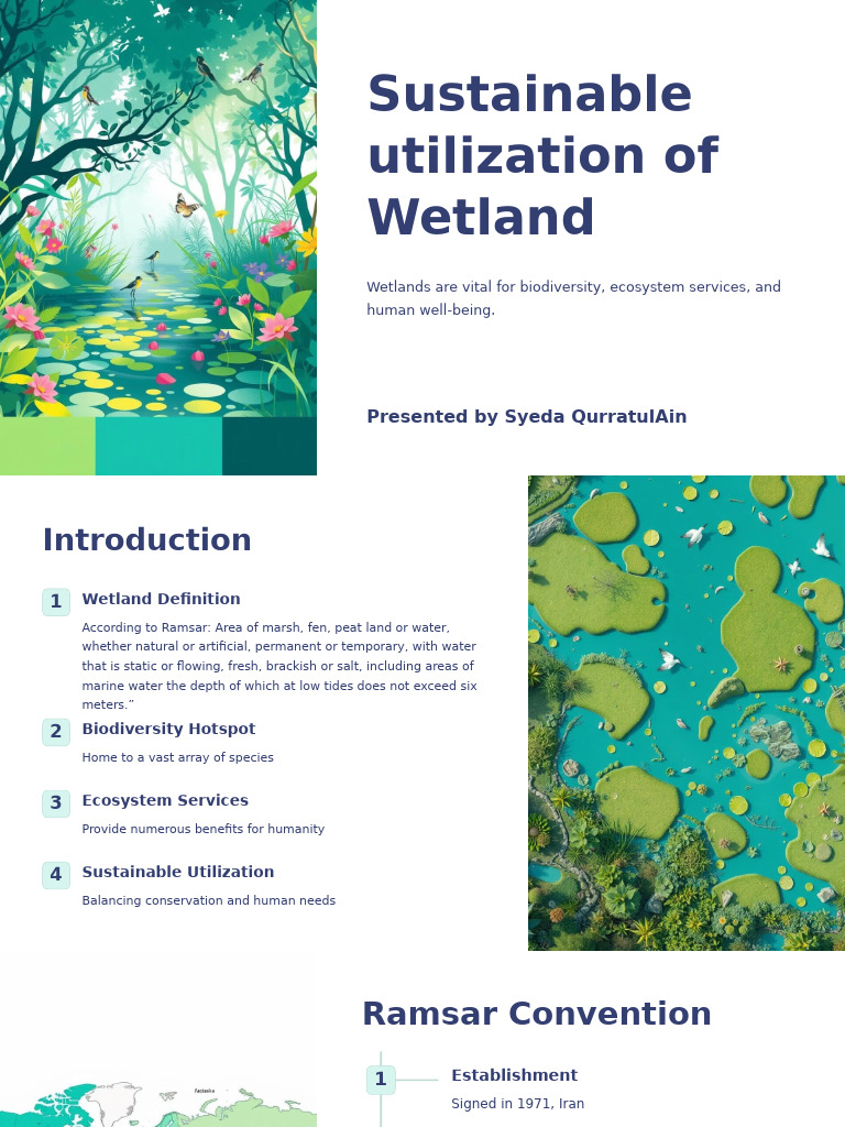 Wetland Conservation A Vital Ecosystem | PDF | Wetland | Biodiversity