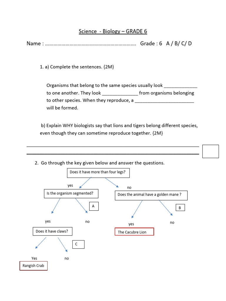 6th Grade Biology Exam Questions | PDF | Cell (Biology) | Foods
