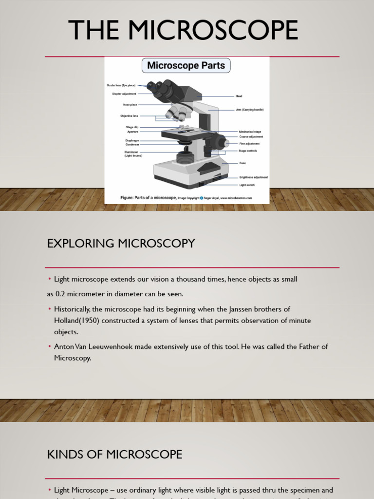 Exploring Micros | PDF | Science & Mathematics | Computers