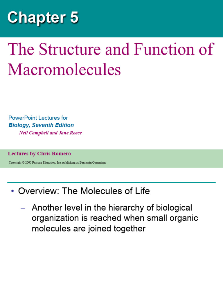 Chapter5 - Structure and Function of Macromolecule | PDF | Amino Acid | Lipid
