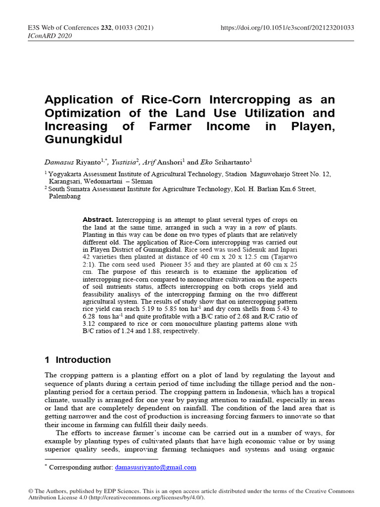 Application of Rice-Corn Intercropping As An Optim | PDF | Agriculture | Rice