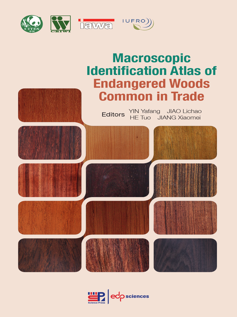 Macroscopic Identification Atlas of Endangered Woods Common in Trade Ed ...