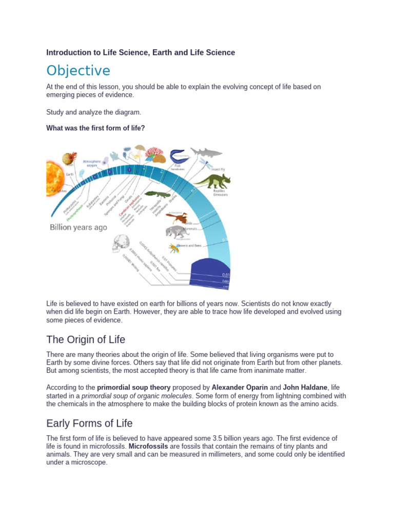 Earth and Life Sciences Quarter 2 | PDF | Cellular Respiration ...