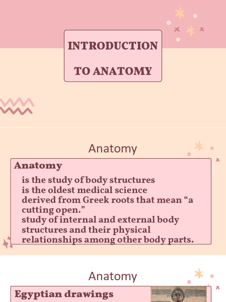 Introduction to Anatomy 081203 | PDF | Human Body | Integumentary System