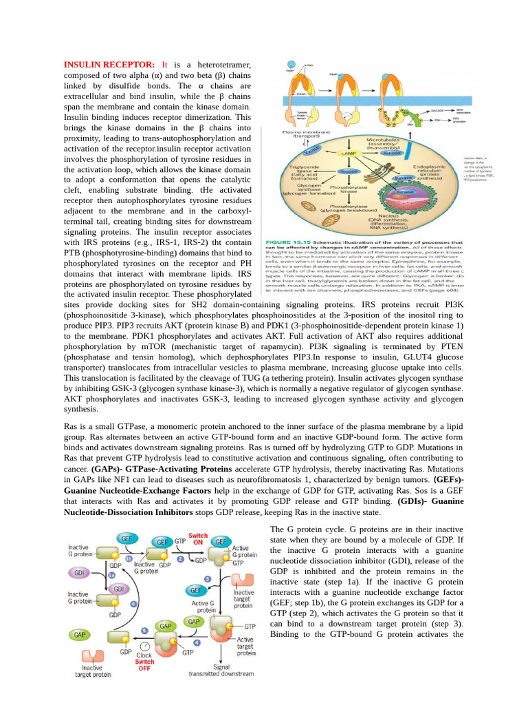 Cell Signaling and Signal Transduction | PDF | Artificial Neural ...