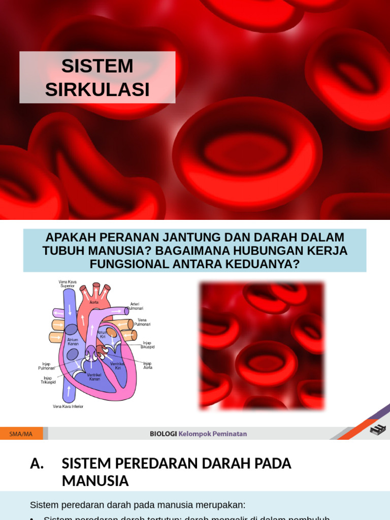 BAB 5 - SISTEM SIRKULASI - NEW-std | PDF