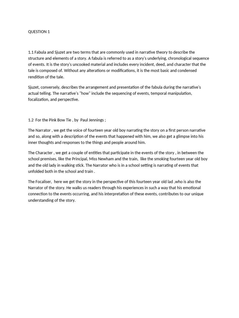 Unisa Literature Assignment | PDF | Narration | Narrative