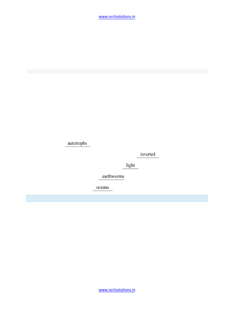 Ecosystem Pdf Food Web Ecosystem