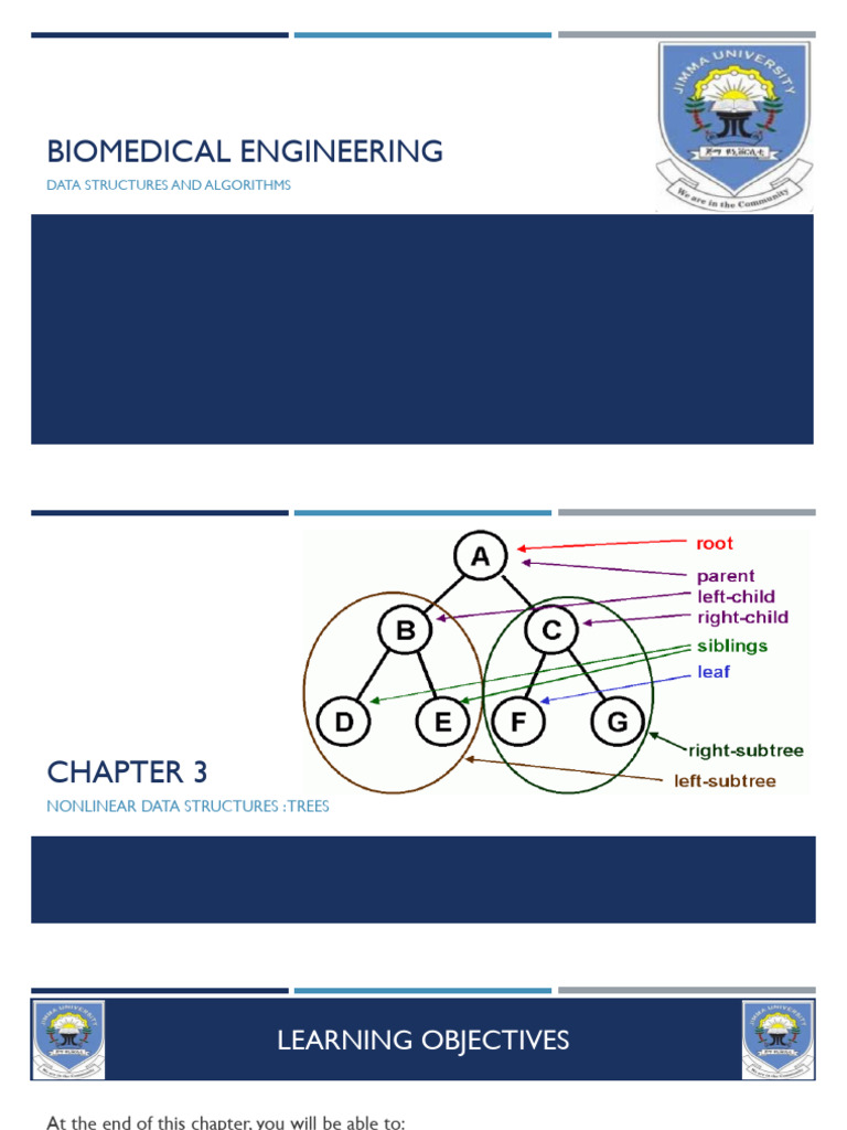 Chapter 3 Nonlinear Data Structures Trees Pdf Algorithms And Data Structures