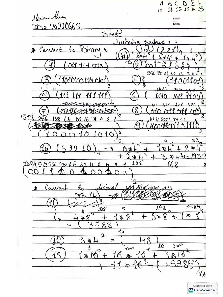 Numbering system | PDF